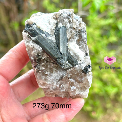 Black Tourmaline on Quartz Matrix (Mineral Gallery)Brazil – Love For ...
