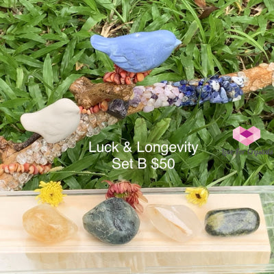 Luck And Longevity Crystal Remedy Set – Love For Crystals, LLP