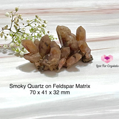 Smoky Quartz on Feldspar Matrix (South Africa)Collector’s – Love For ...